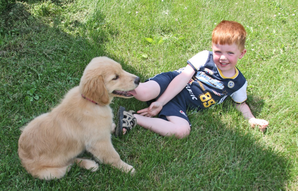 Teaching Kids to Train Their New Puppy - Twinmom